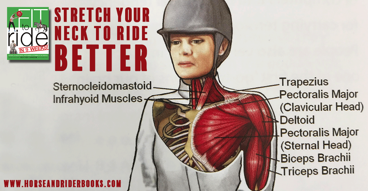 Stretch Your Neck to Ride Better – Trafalgar Square Books
