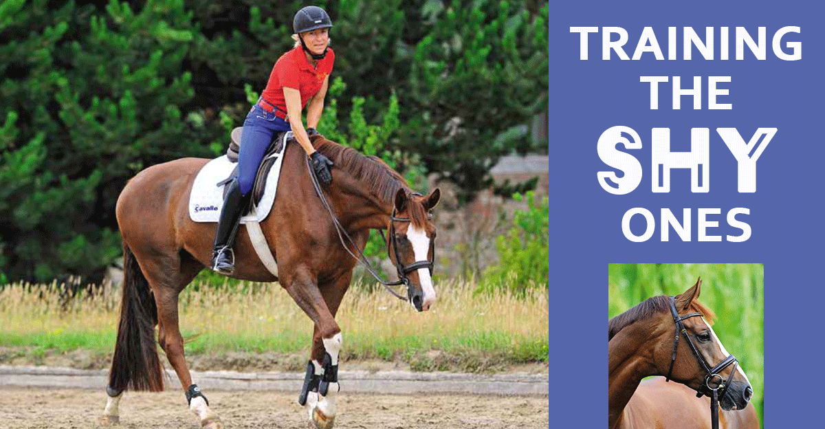 Training the Shy Ones: Insight from Ingrid Klimke – Trafalgar Square Books