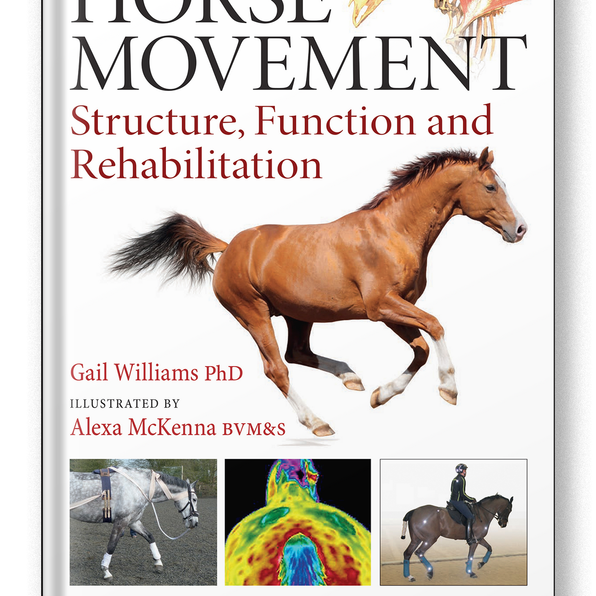 Horse Movement – Trafalgar Square Books