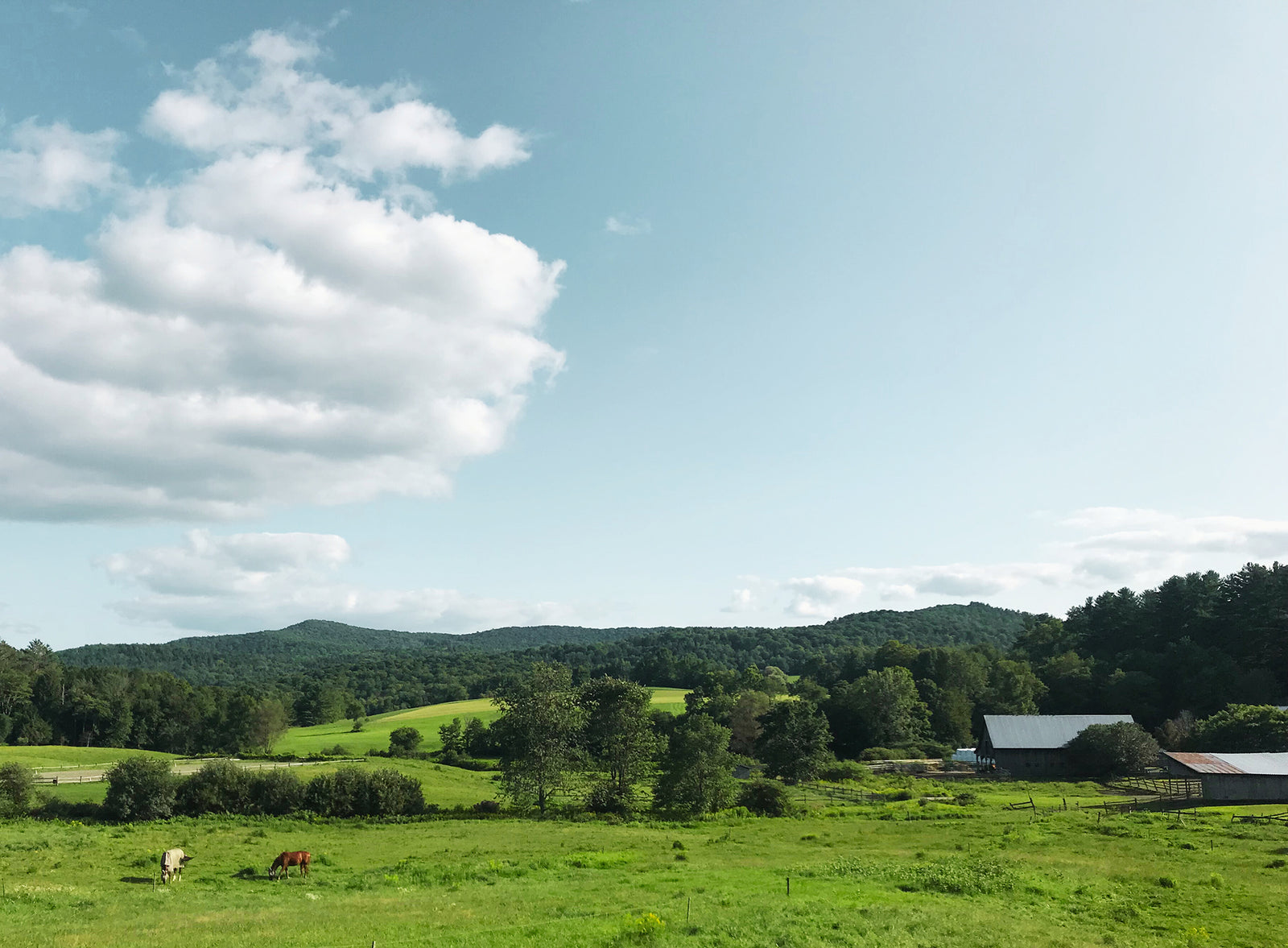 Our Story – Trafalgar Square Books