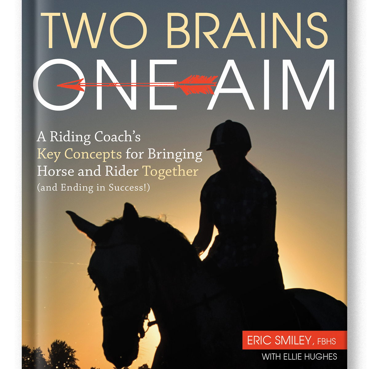 Two Brains, One Aim – Trafalgar Square Books